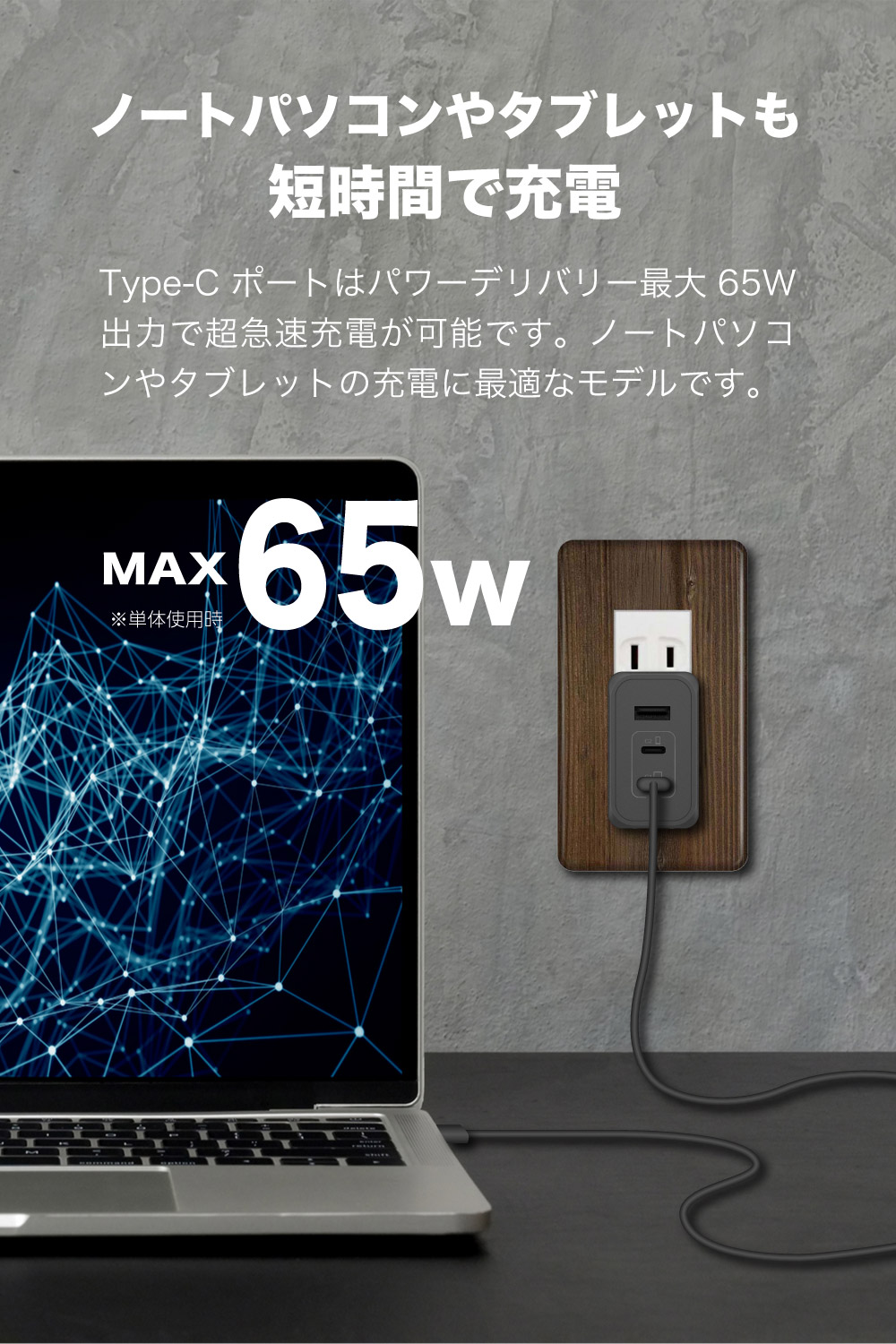PD65W AC充電器 ブラック – 多摩電子工業 | 公式サイト [ tamas / タマズ ]
